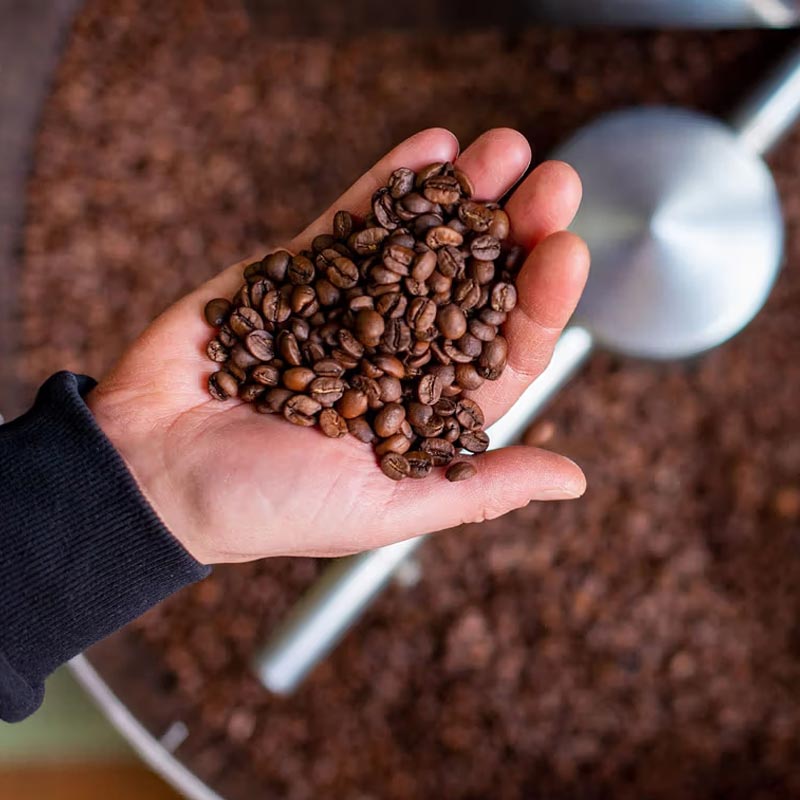 Torrefazione - MAH - Food Distribution